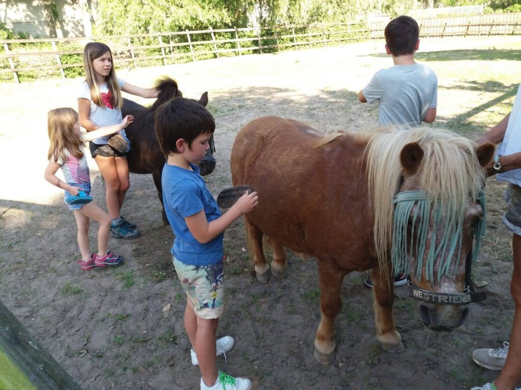 De Eendenkooi mini camping en manege in Waardenburg tel 06 20268488